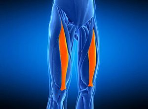 Lesiones En Muslo | Bienestar Fisioterapia Personalizada